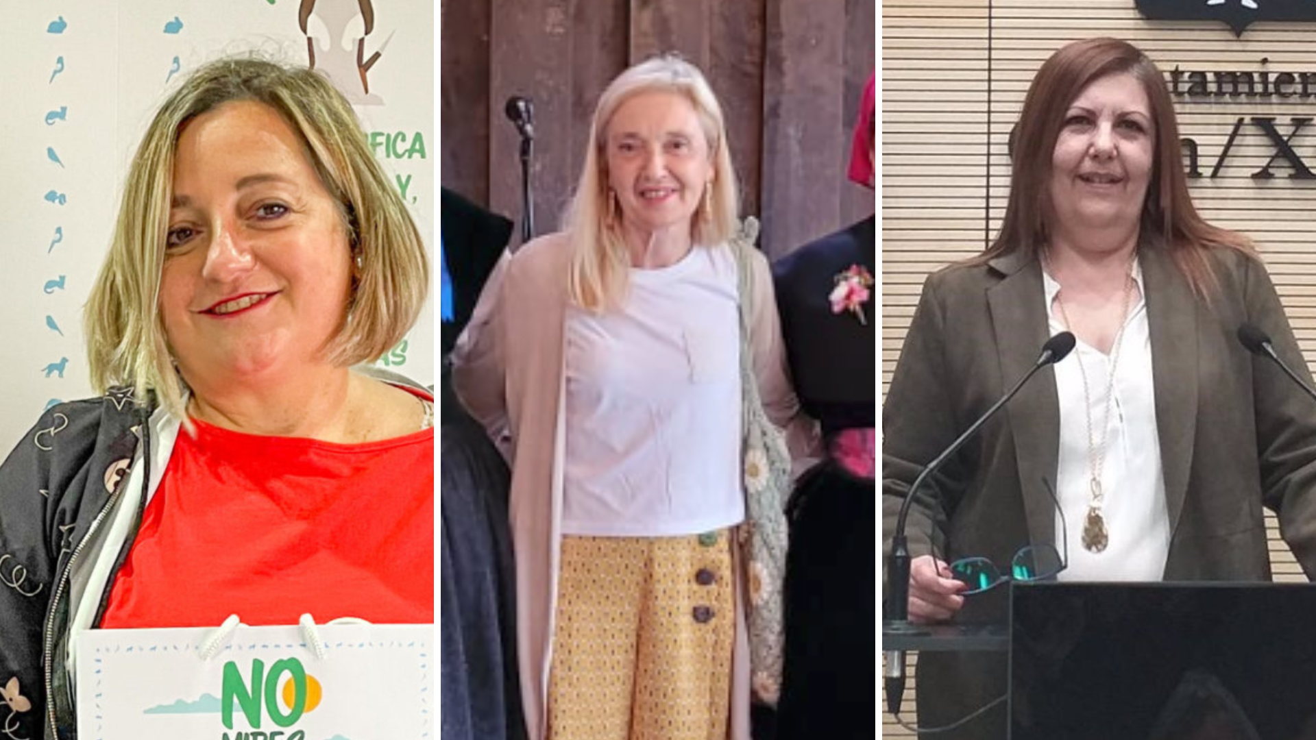 Juego de sillas en el Ayuntamiento tras la salida de Olmo Ron de Obras ...