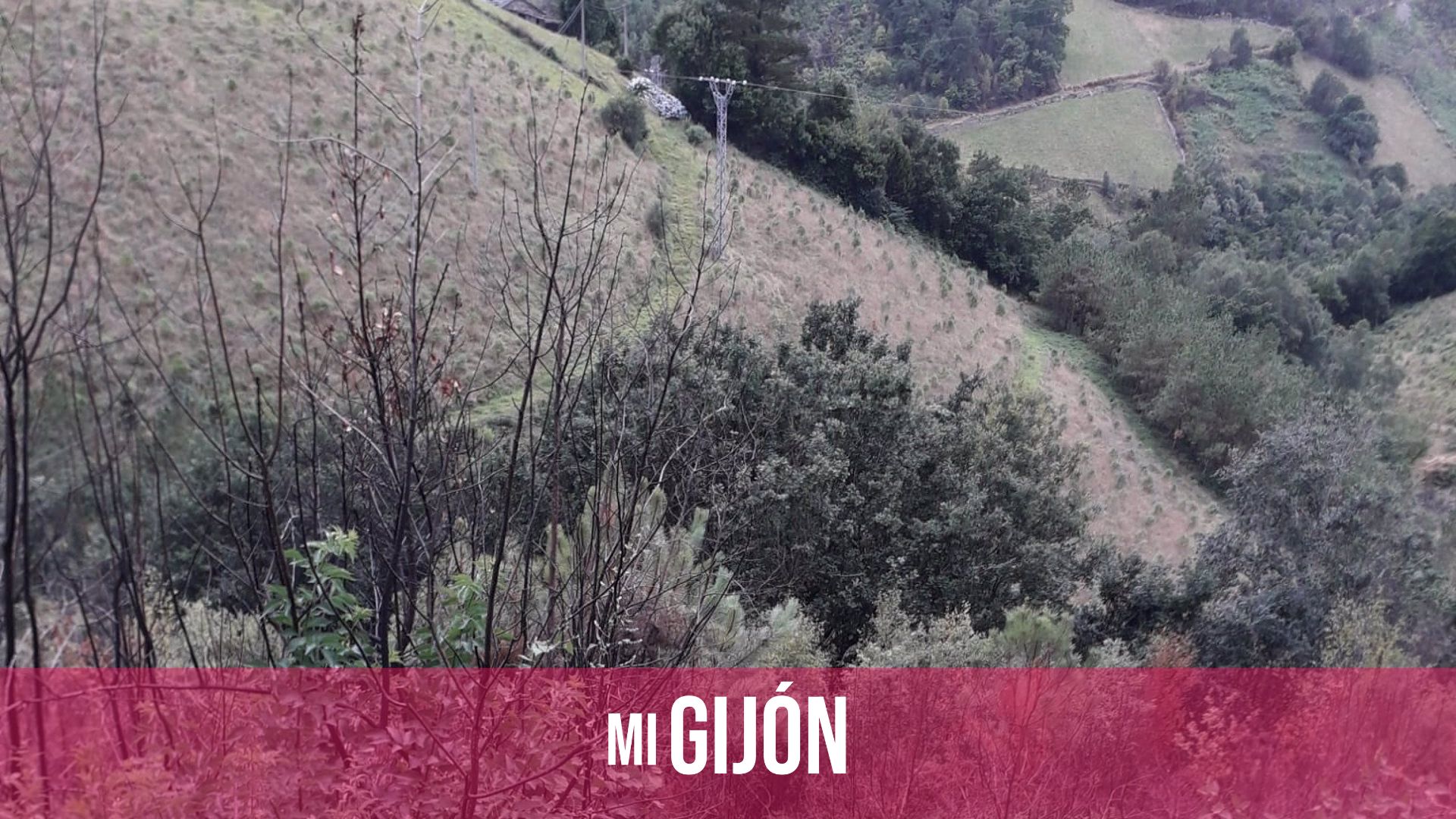 La caída de un tractor desde veinticinco metros deja un muerto en ...