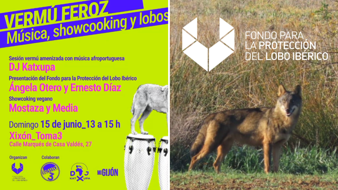 "El ruido contra el lobo es negacionismo puro y duro" - miGijón